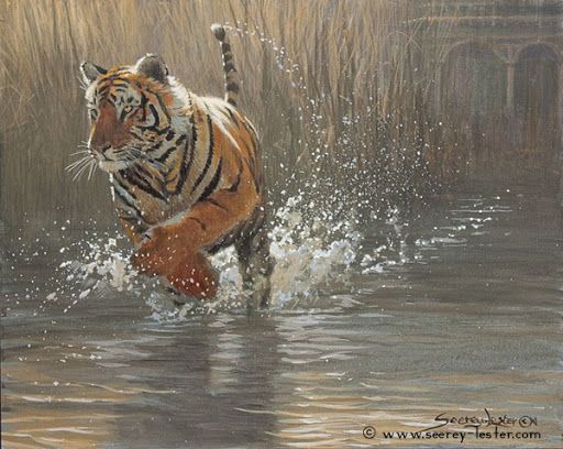 John Seerey-Lester | ArtSWFL.com