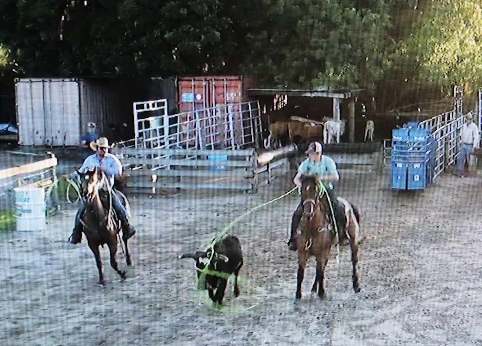 ‘State of Rodeo’ explores 500-year history of rodeo in Florida ...