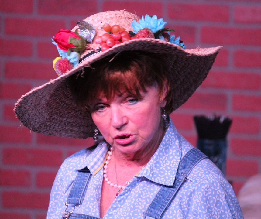 ‘Steel Magnolias’ play dates, times and ticket information | ArtSWFL.com