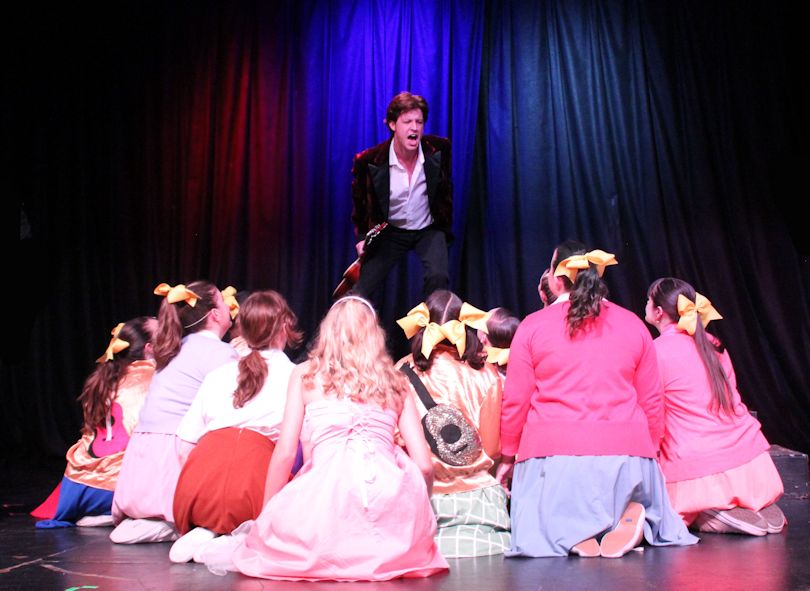 ‘Bye Bye Birdie’ play dates, times and cast | ArtSWFL.com